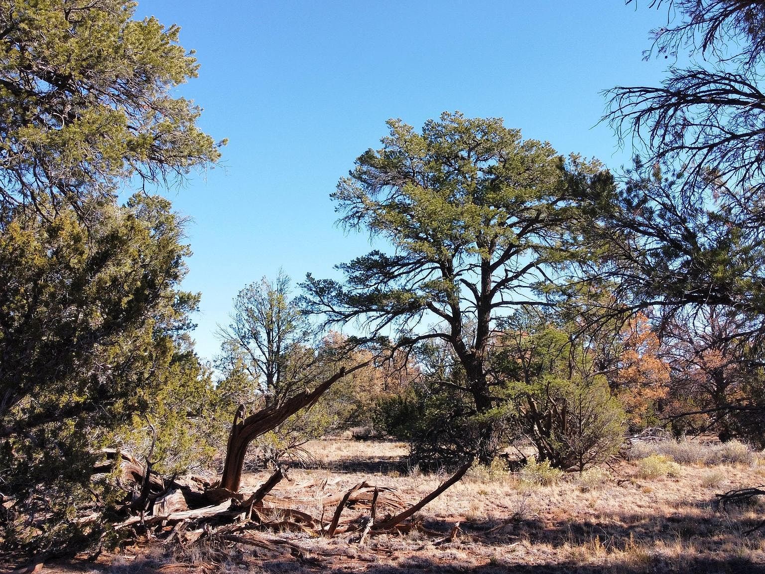 6125 E Woodland Ranch Rd #3-10A-169, Williams, AZ 86046 | Zillow