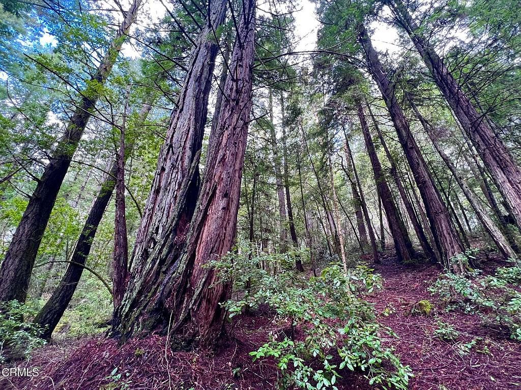 8331 Flynn Creek Rd, Comptche, CA 95427 | Zillow