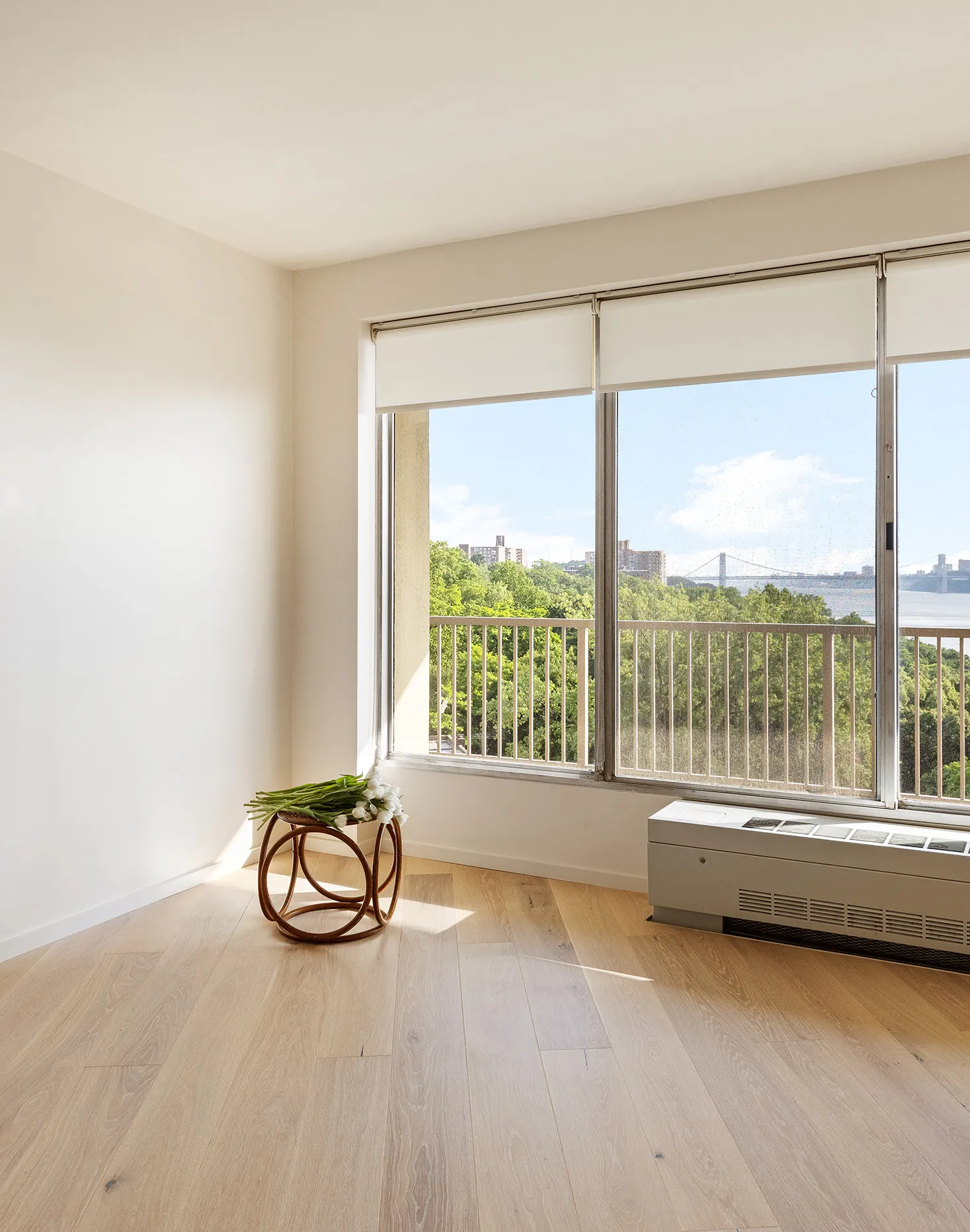 4455 Douglas Avenue #10C in Riverdale, Bronx | StreetEasy