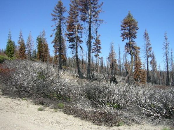 Macdoel Real Estate - Macdoel CA Homes For Sale | Zillow