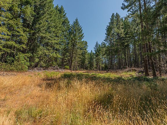6900 Line Gulch Rd, Zenia, CA 95595 | MLS #265019 | Zillow