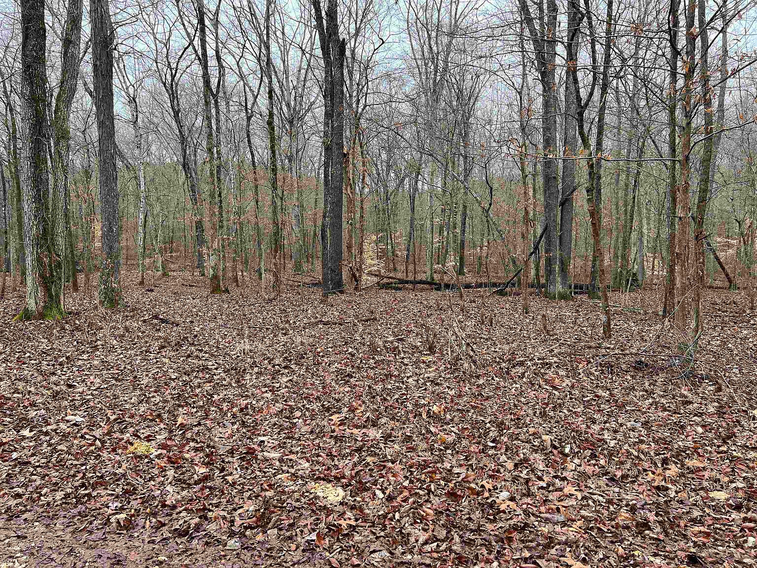 Point Mason Rd PARCEL 23&33, Big Sandy, TN 38221 | Zillow