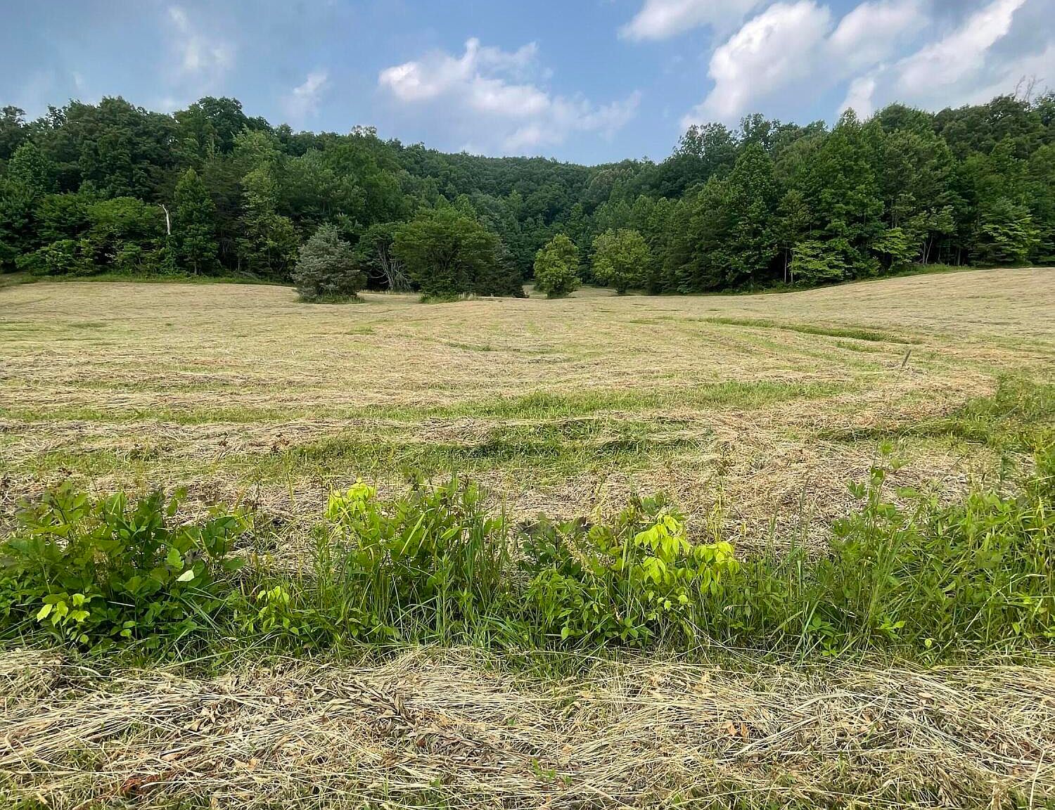 927 Morris Ln, Heidrick, KY 40949 | Zillow