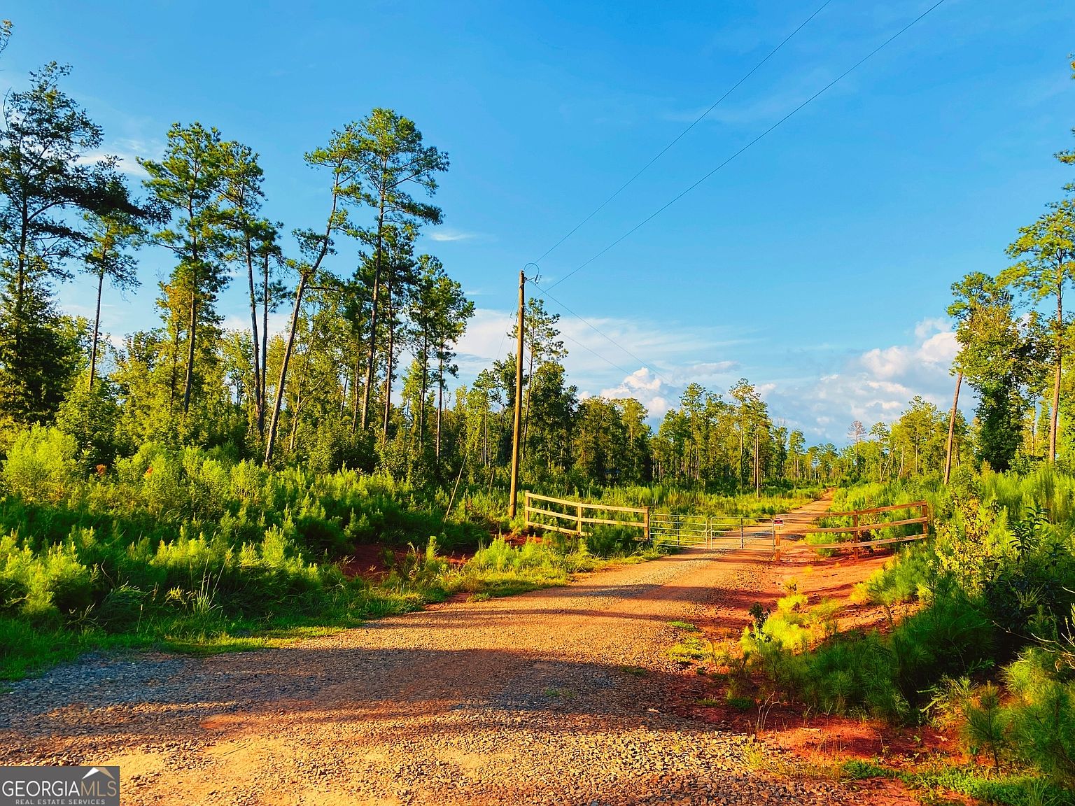 1374 Hopewell Rd, Forsyth, GA 31029 | MLS #10576854 | Zillow