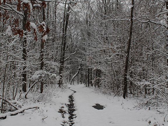 51-G13A Suscon Rd, Pittston, PA 18640 | MLS #23-1420 | Zillow