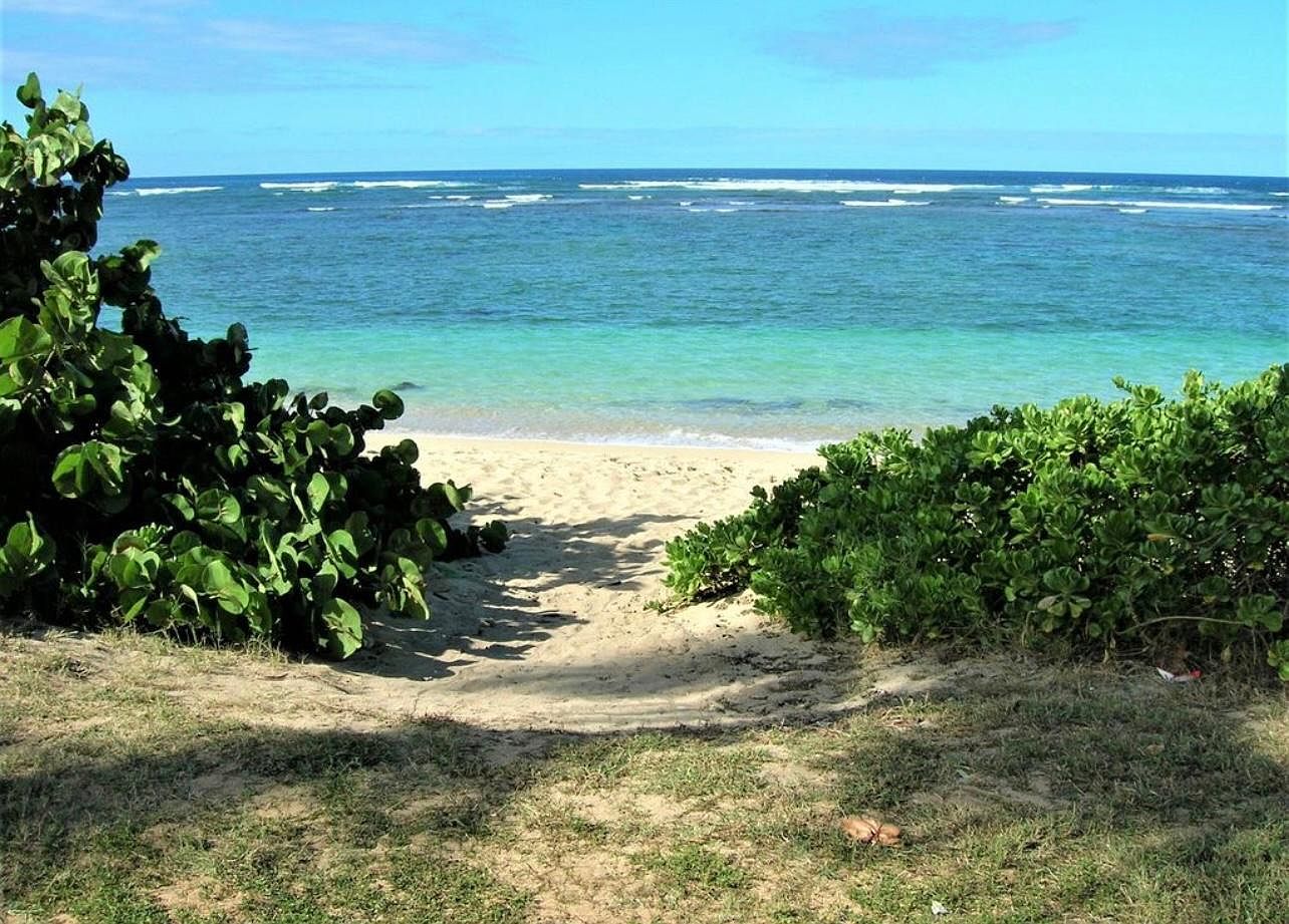 68085 Akule St #C, Waialua, HI 96791 | Zillow