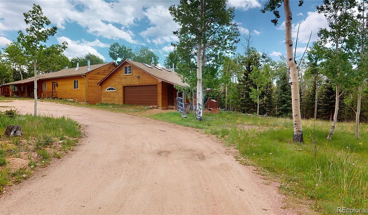 1011 Castle Ridge View, Florissant, CO 80816 | MLS #7509340 | Zillow