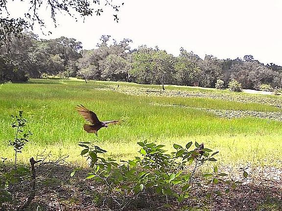 Tbd7 County Rd TRACT 19-7, Garwood, TX 77442 | MLS #85962746 | Zillow