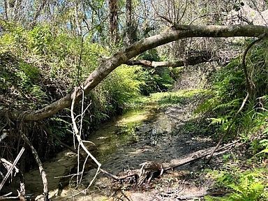 1299 Alec Hendry Rd, Wauchula, FL 33873 | Zillow