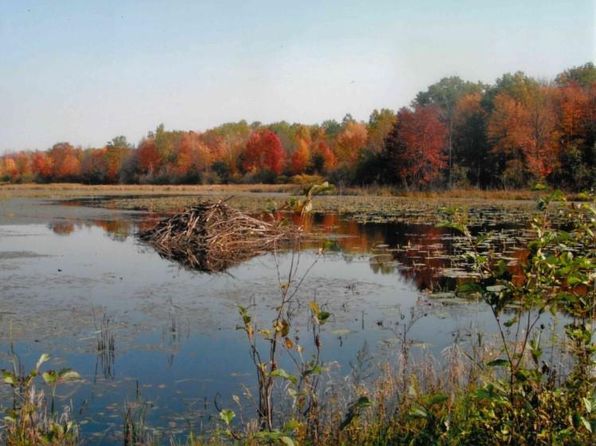 Athens Real Estate - Athens WI Homes For Sale | Zillow