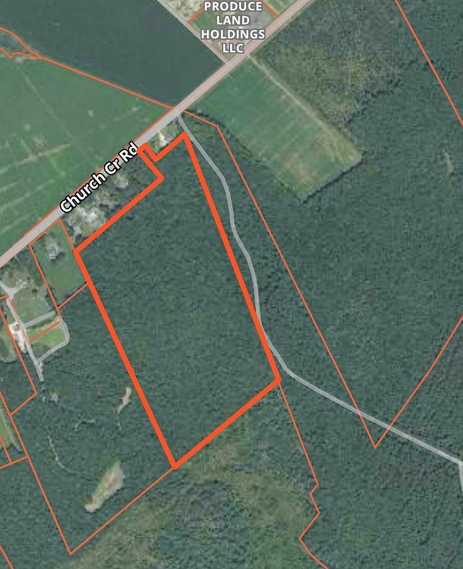 Sika Whitetail & Turkey Church Creek Rd, Cambridge, MD 21613 | MLS # ...