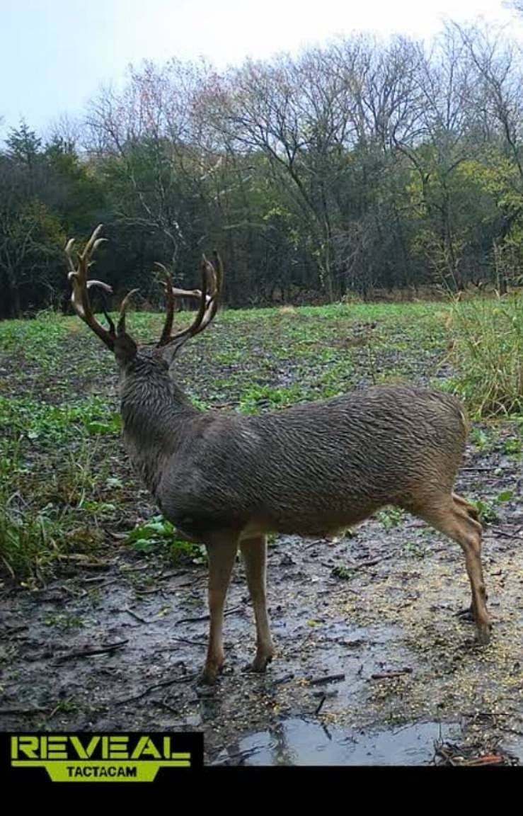 0 6600th Rd, Neodesha, KS 66757 | MLS #11416701 | Zillow