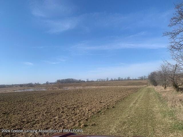 0 W Parks Rd, Fowler, MI 48835 | Zillow