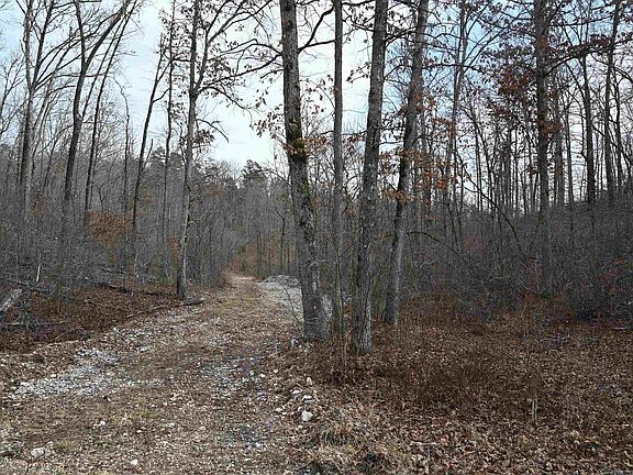 3875 Tomahawk Slab S &10 #9-16, Saint Joe, AR 72675 | MLS #24007627 ...