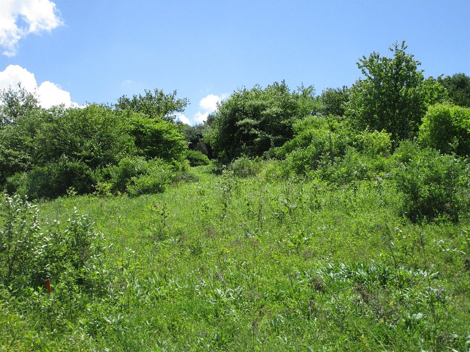 Pitcher Hill Rd, Pitcher, NY 13136 | Zillow