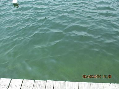 63400 Shafer Lake Rd, Lawrence, MI 49064 | Zillow