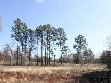 880 Stone Chimney Rd Bullard TX | Zillow