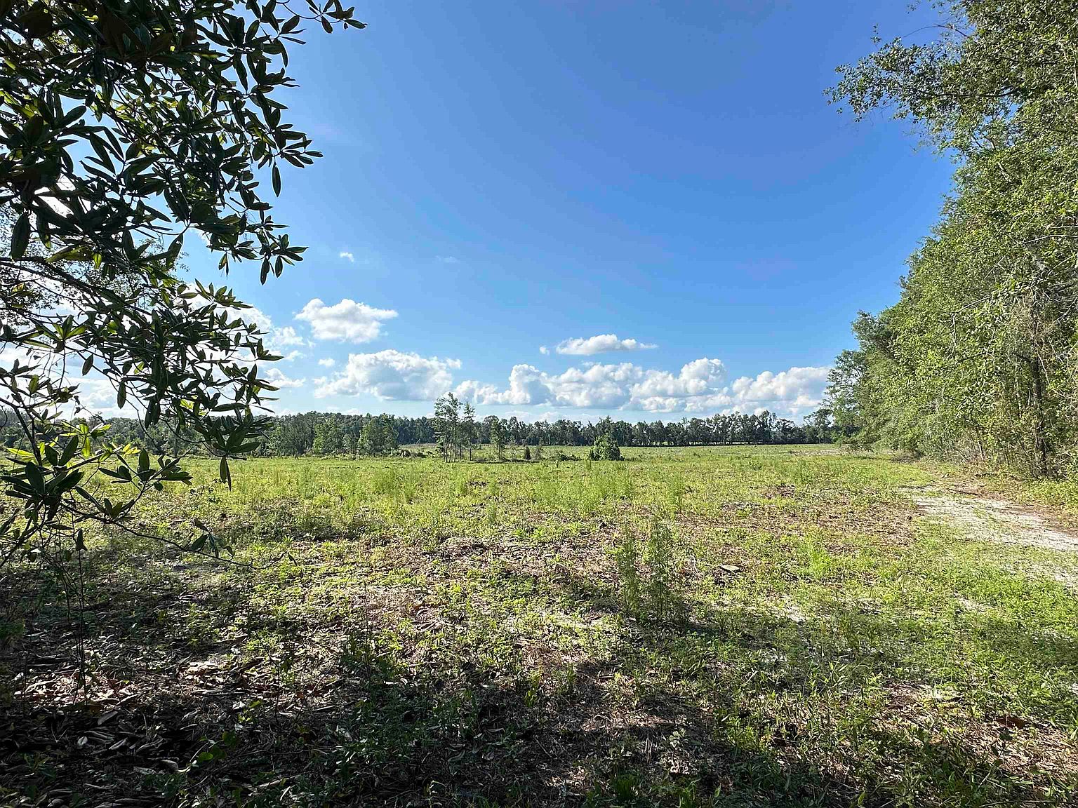 NE Tarragon St, Pinetta, FL 32350 | Zillow