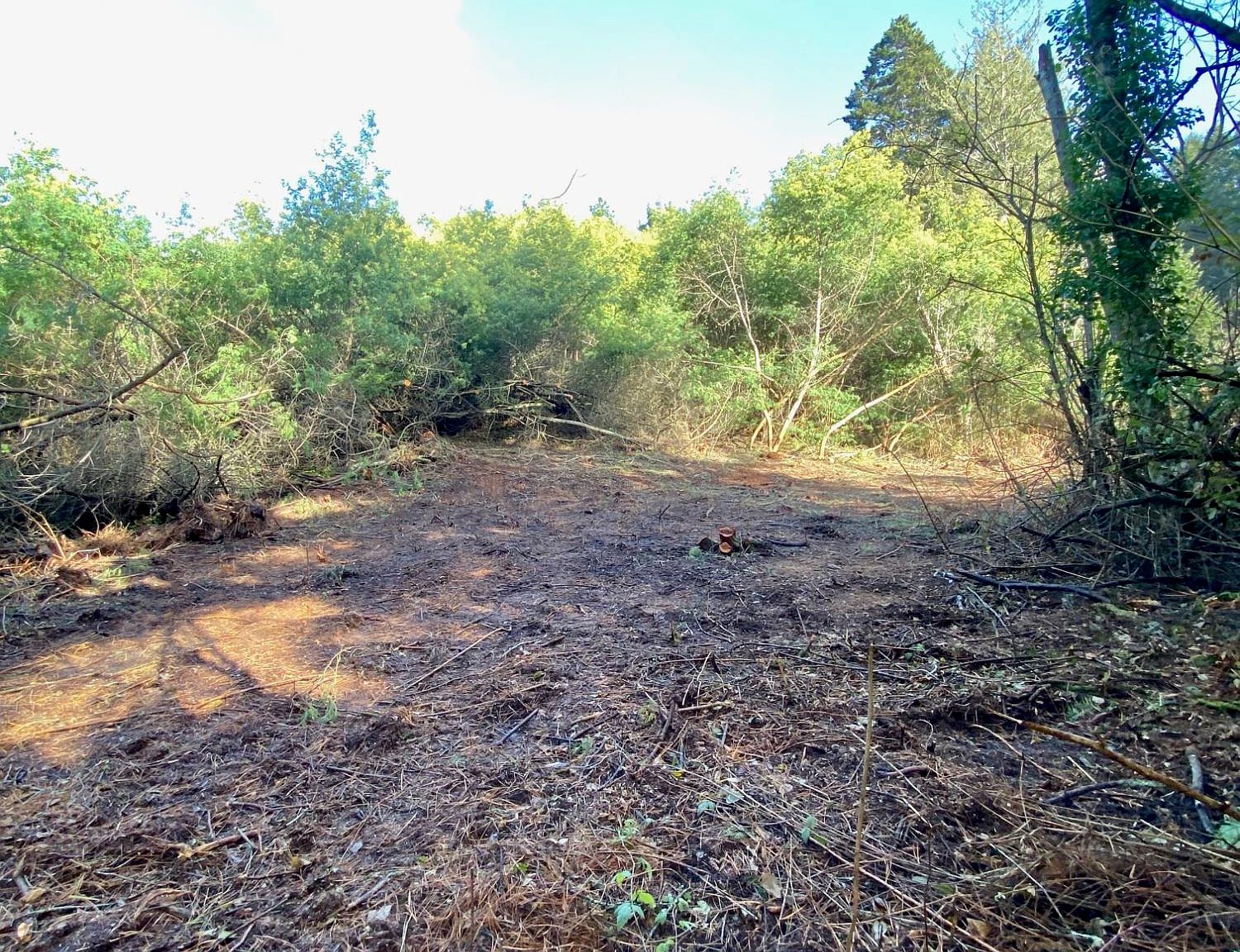 Spring St, Fields Landing, CA 95537 | Zillow