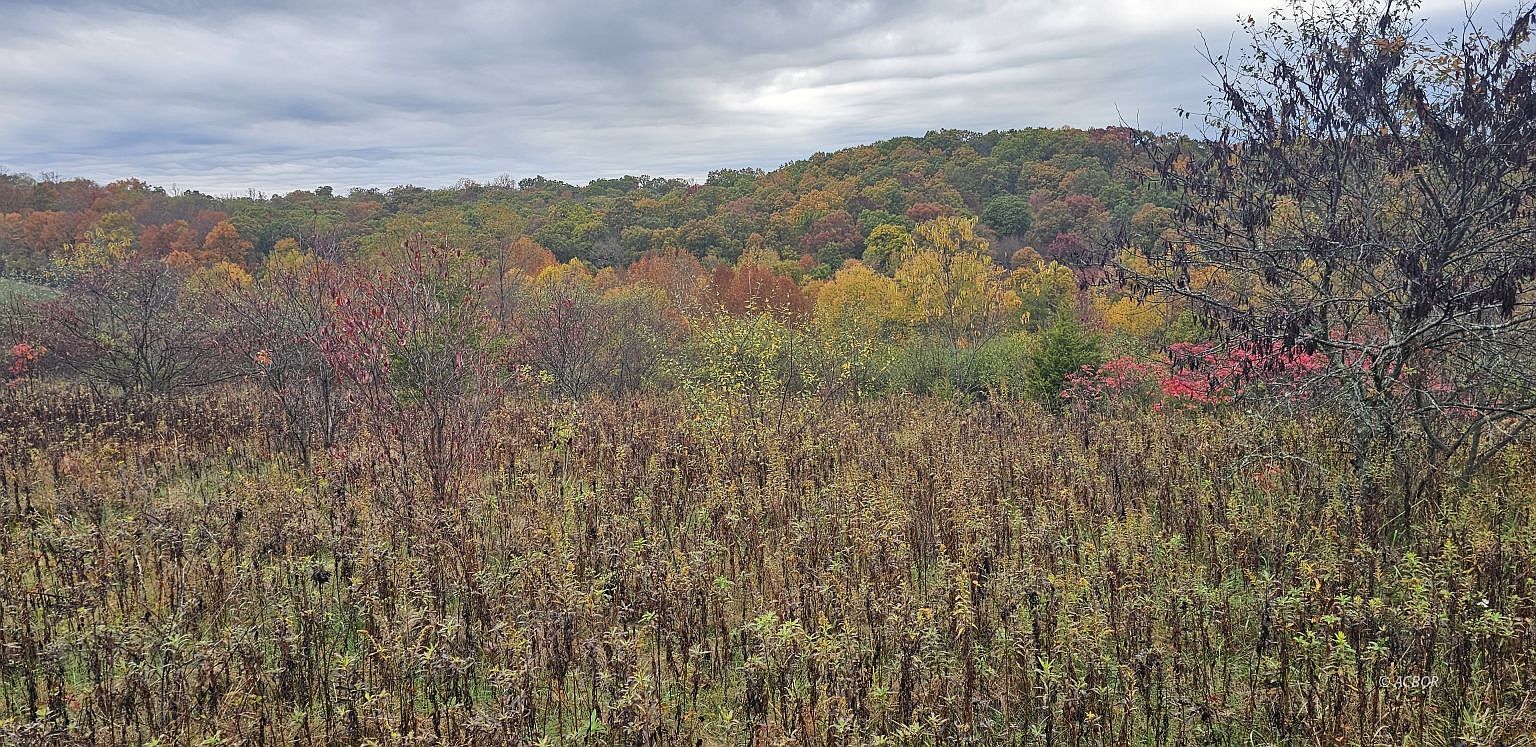 0 Dutch Ln, Mc Arthur, OH 45651 | MLS #2432784 | Zillow