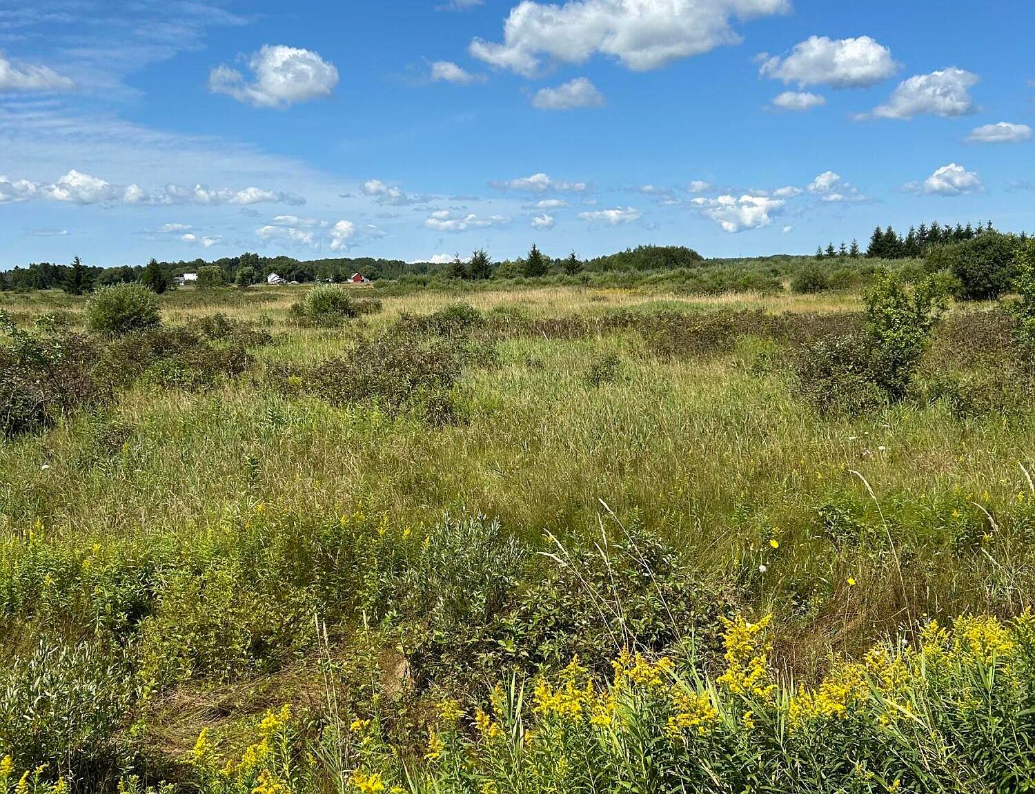 Inverness Rd, Cheboygan, MI 49721 | Zillow