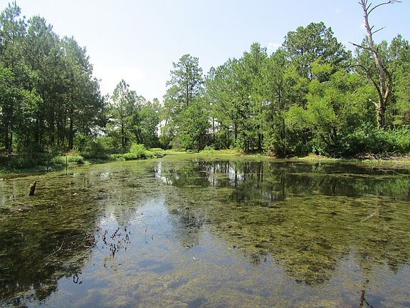 0 Fm 2501, Apple Springs, TX 75926 | MLS #67501 | Zillow