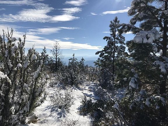 0 Entiat River Road, Ardenvoir, WA 98811 | MLS #1790956 | Zillow