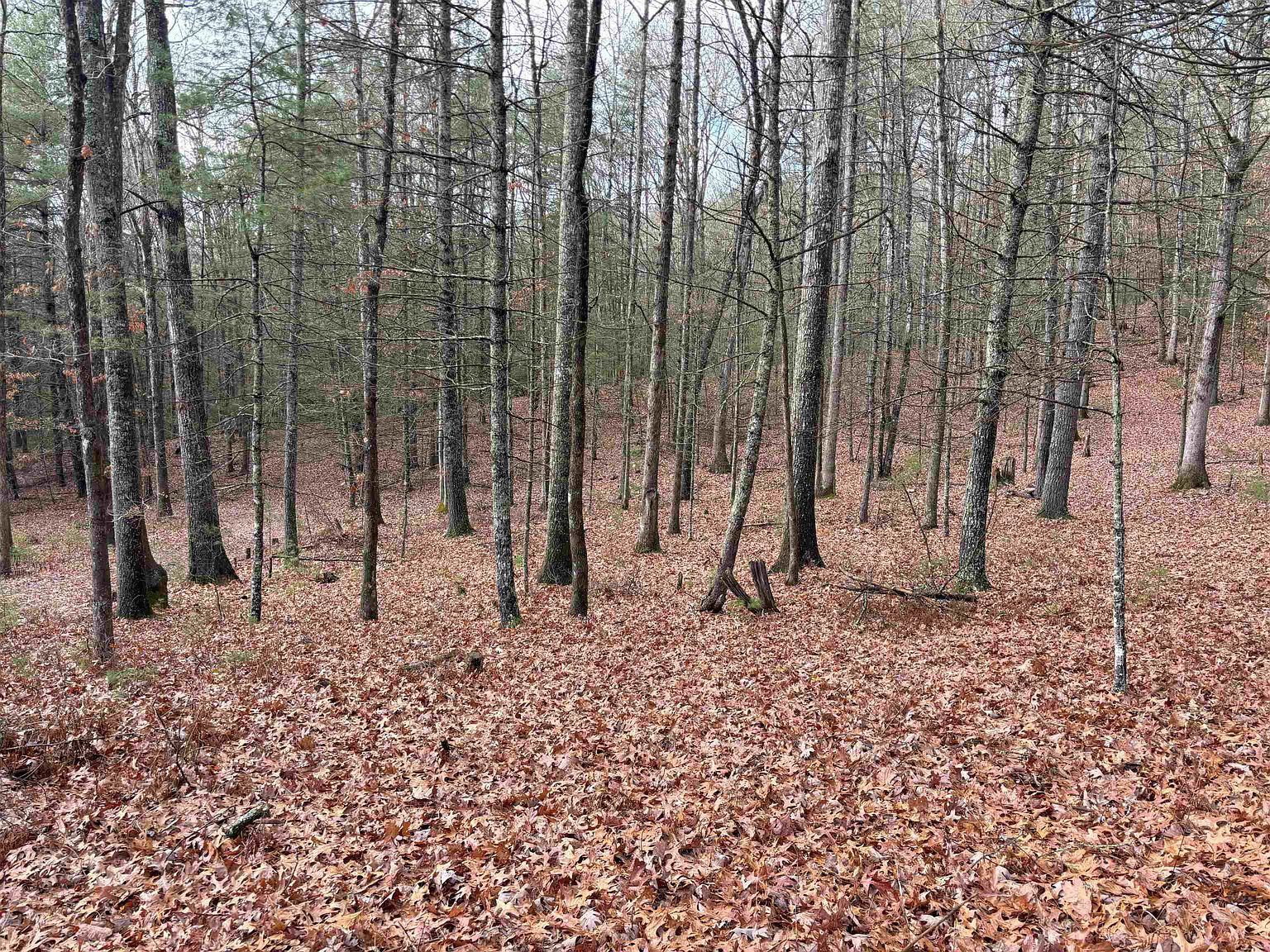 1358 Cowpasture River Rd S, Head Waters, VA 24442 | Zillow