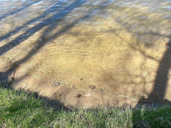 LOT 8 Pheasant Point Dr, Sturgis, MI 49091 | Zillow