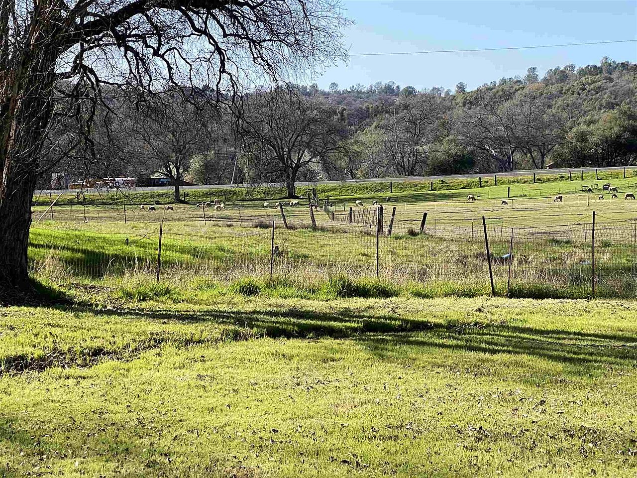 18274 Kelly Loop, Sonora, CA 95370 | Zillow