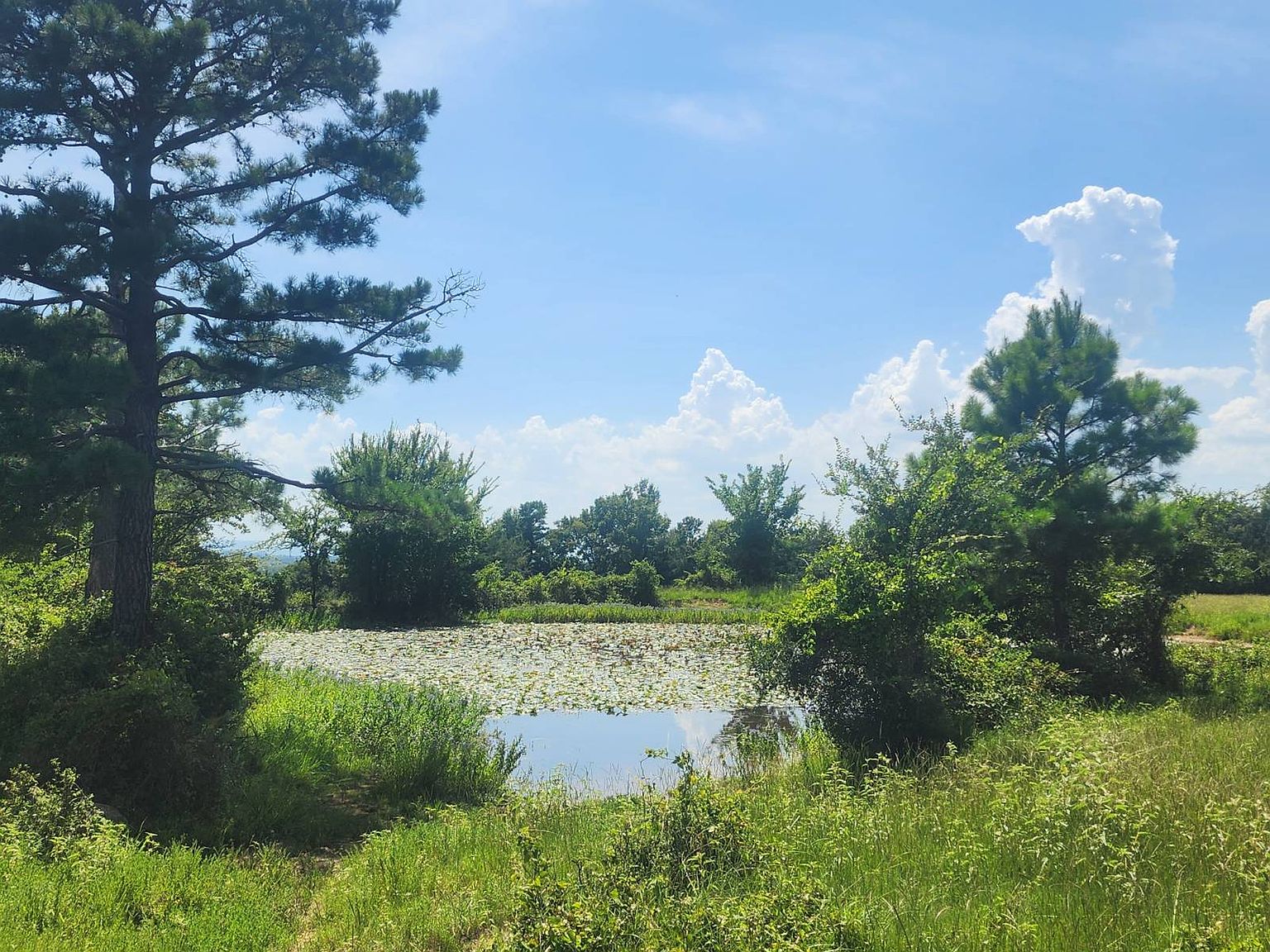 0 SE Highway 63, Talihina, OK 74571 | MLS #11548152 | Zillow