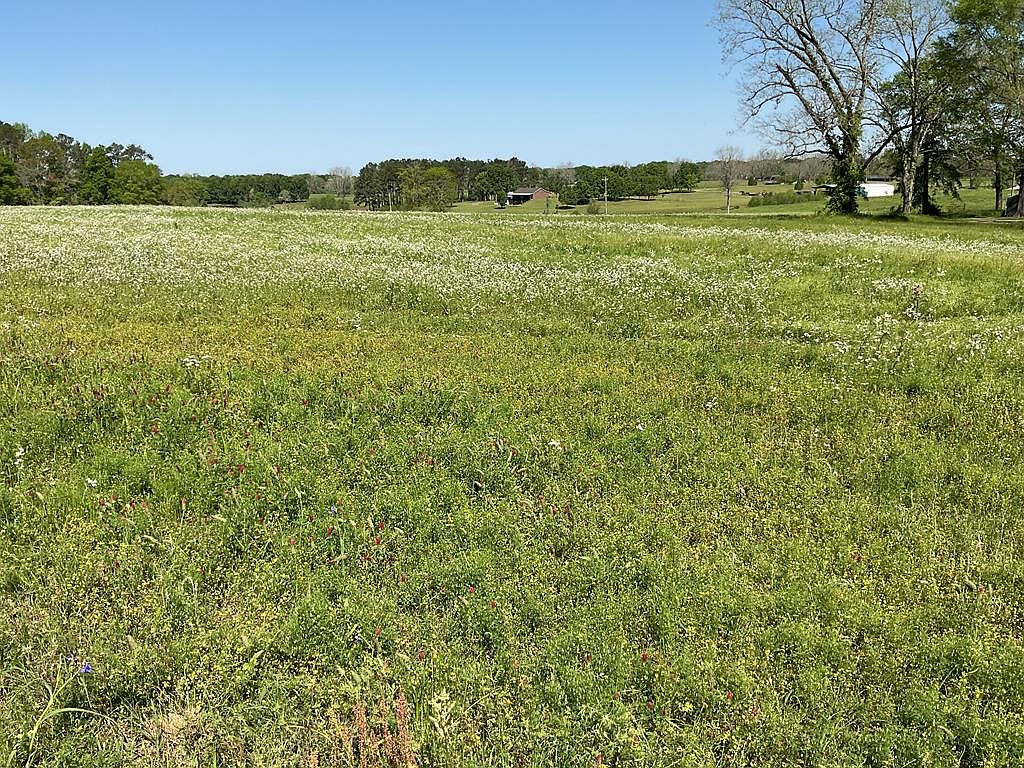 1850 Lee St, Rutledge, AL 36071 | Zillow