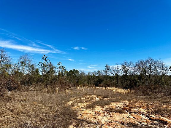 0 Tree Nursery Rd, Davisboro, GA 31018 | MLS #11262882 | Zillow