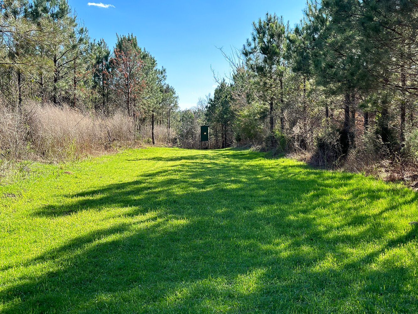 0 County Road 96, Millport, AL 35576 | MLS #11631885 | Zillow