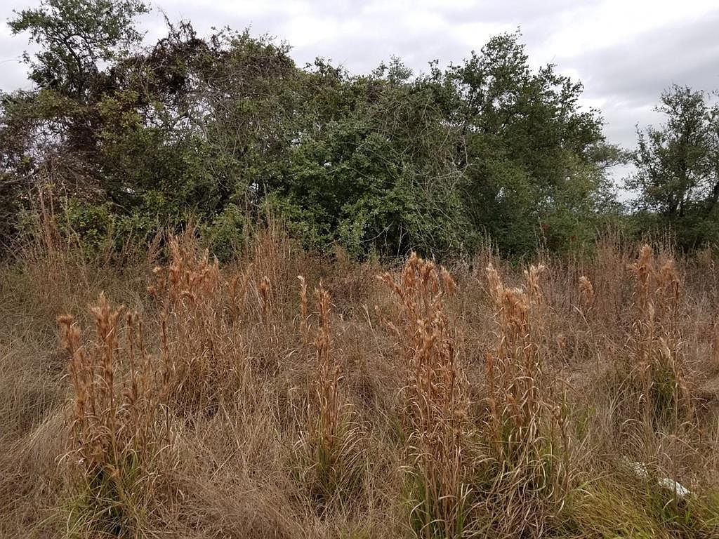 0 Saunders Ln, Aransas Pass, TX 78336 | Zillow