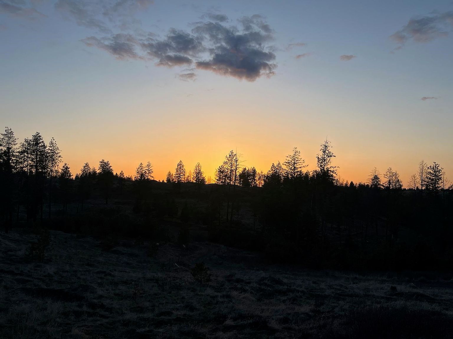 PARCEL 3 Pine Hen Ln E, Davenport, WA 99122 | MLS #202515407 | Zillow