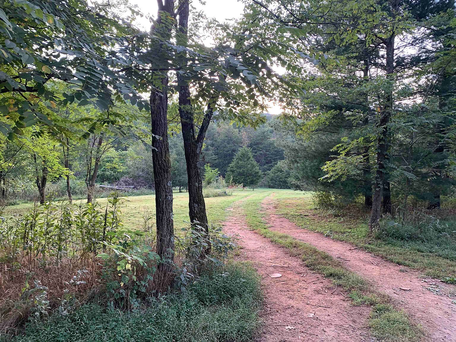 Castle Rock Rd #64G, Afton, VA 22920 | Zillow