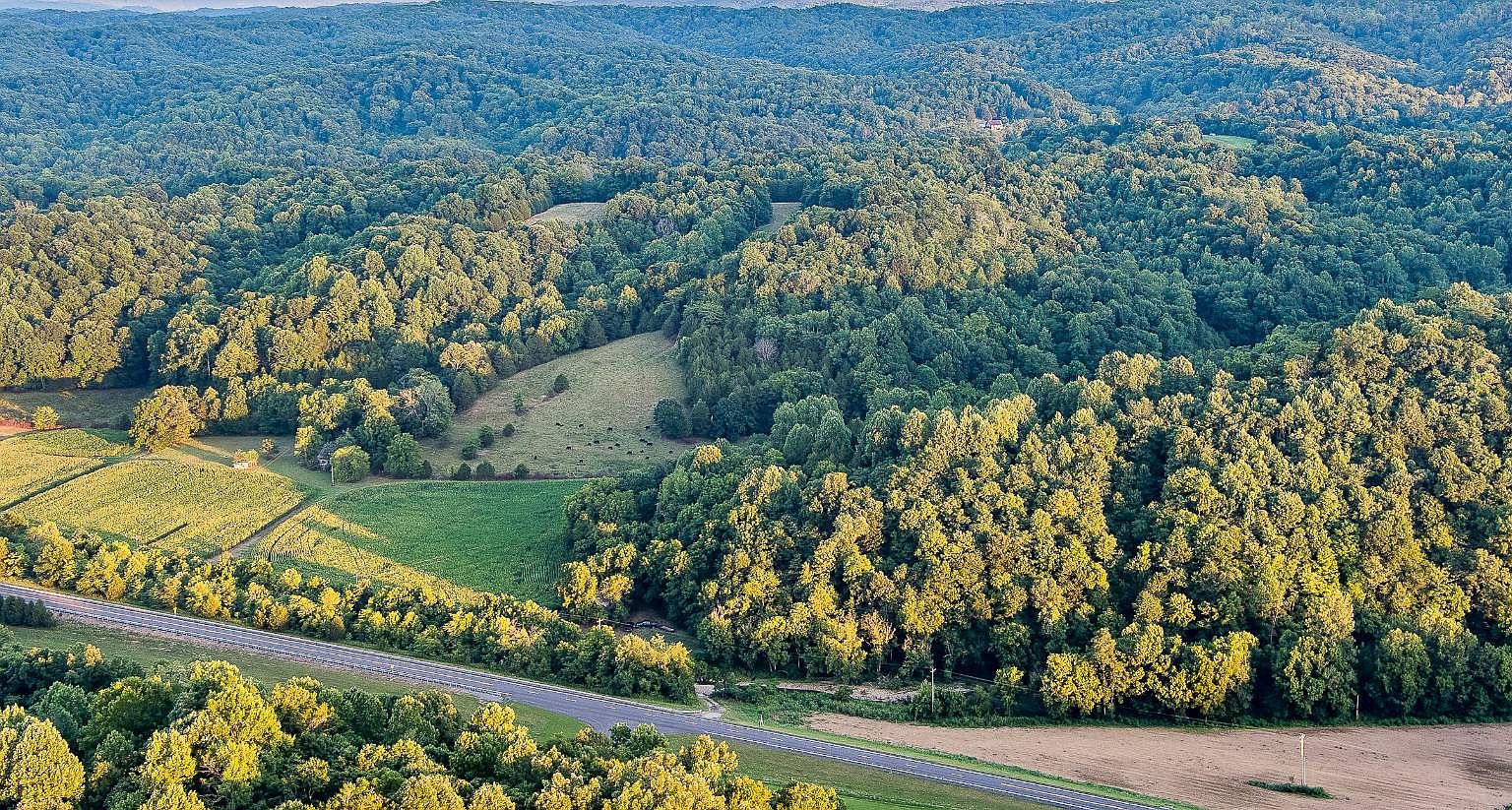 11215 Summer Shade Rd, Summer Shade, KY 42166 | MLS #11094285 | Zillow