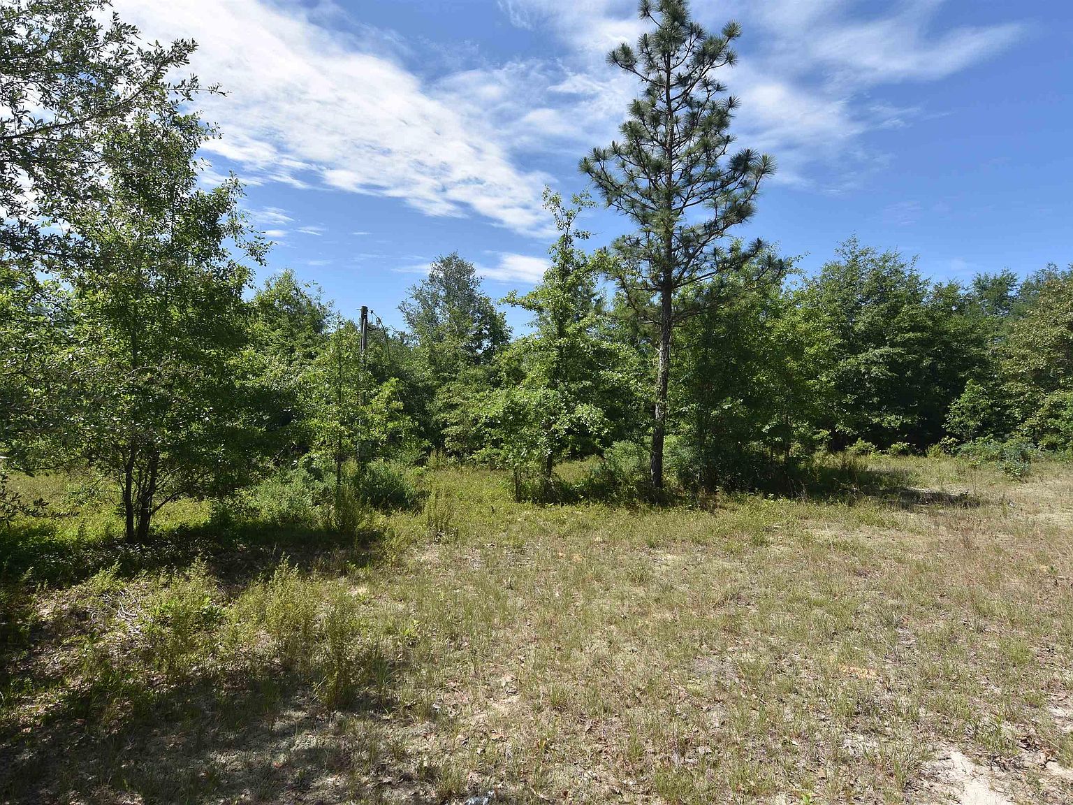 181 Buckboard Rd, Wagener, SC 29164 | MLS #586177 | Zillow