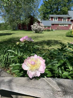 815 Whitcomb Island Rd, Johnson, VT 05656 | Zillow