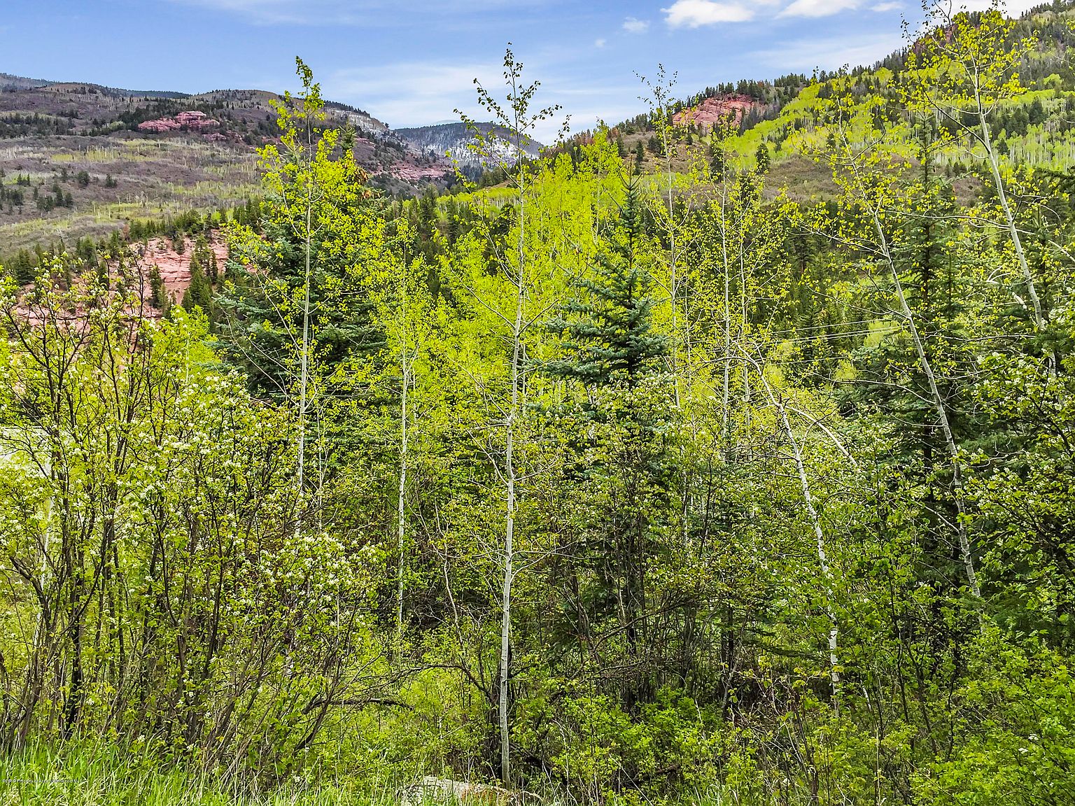Tbd Elk Mountain Dr, Redstone, CO 81623 | Zillow
