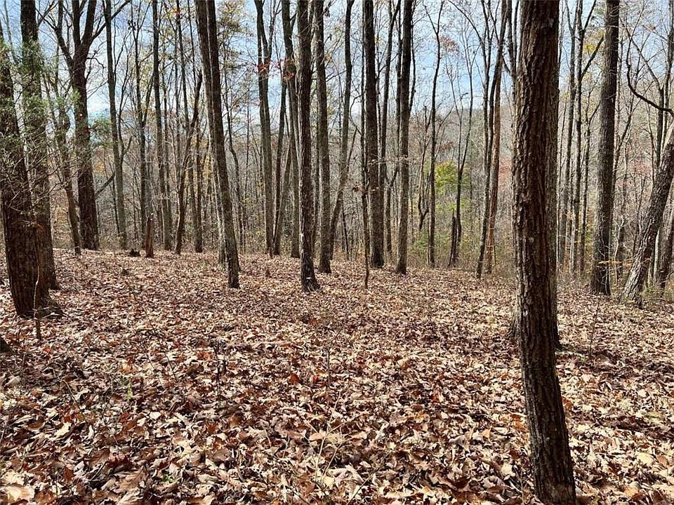 1624 Dripping Springs Rd, La Fayette, GA 30728 | MLS #7294334 | Zillow