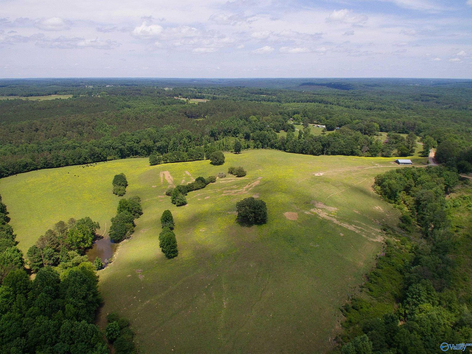 County Road 974, Logan, AL 35098 | Zillow
