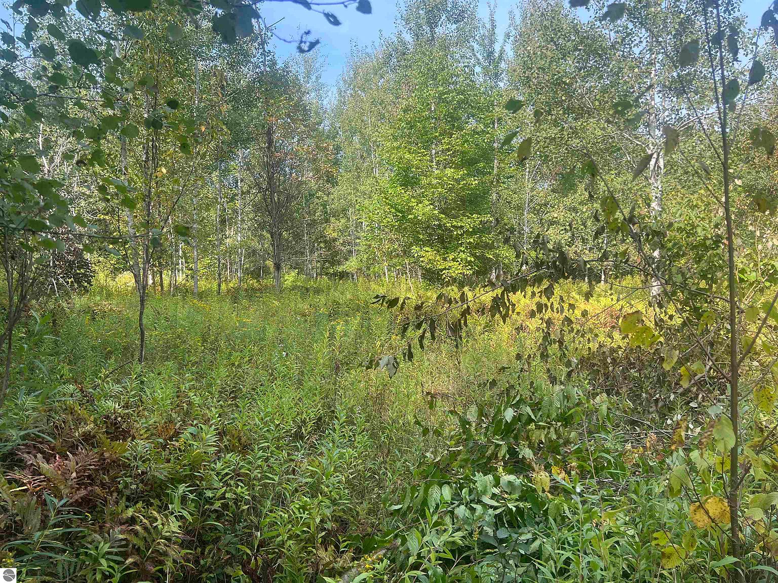 30 1/4 Road, Boon, MI 49618 | Zillow