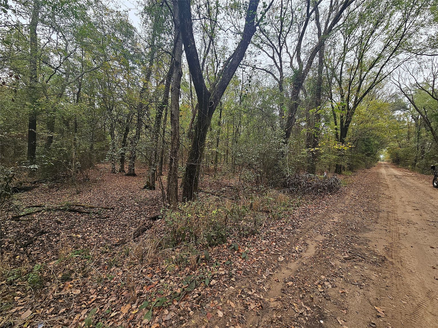 County Road 2310, Sulphur Springs, TX 75482 | MLS #20928158 | Zillow