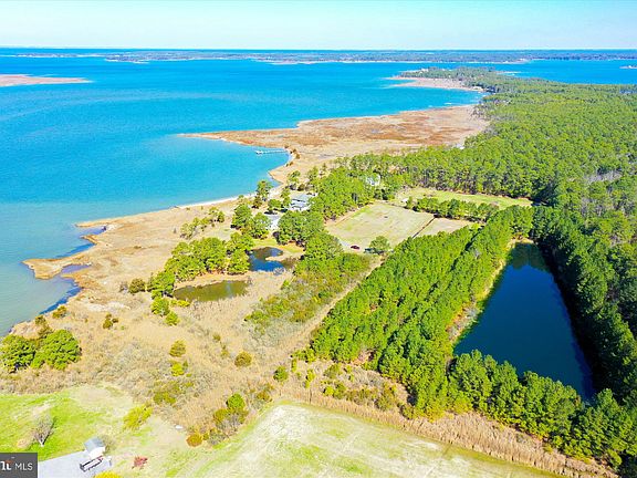 4906 Timbermarsh Ln, Woolford, MD 21677 | MLS #MDDO2006916 | Zillow