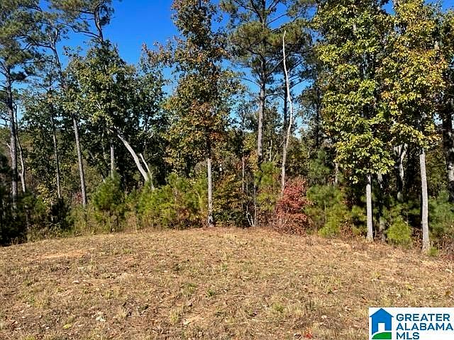 7157 Rendalia Mtwy, Talladega, AL 35160 | Zillow