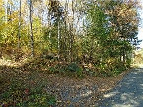 0 Cutts Rd, Newport, NH 03773 | Zillow