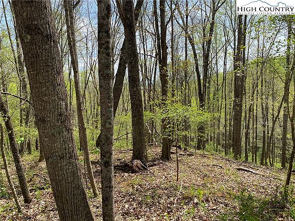 Happyland Rd #38, Piney Creek, NC 28663 | MLS #242991 | Zillow