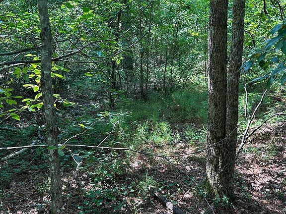 Chapel Hill Rd, Decatur, MS 39327 | Zillow